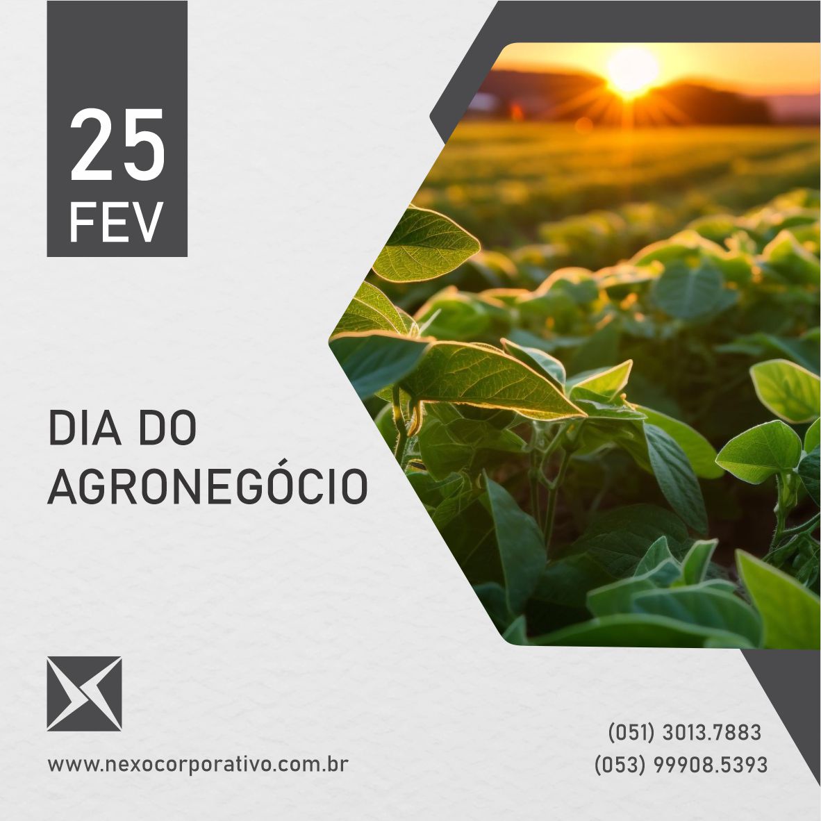 Dia do Agronegócio - Nexo Corporativo