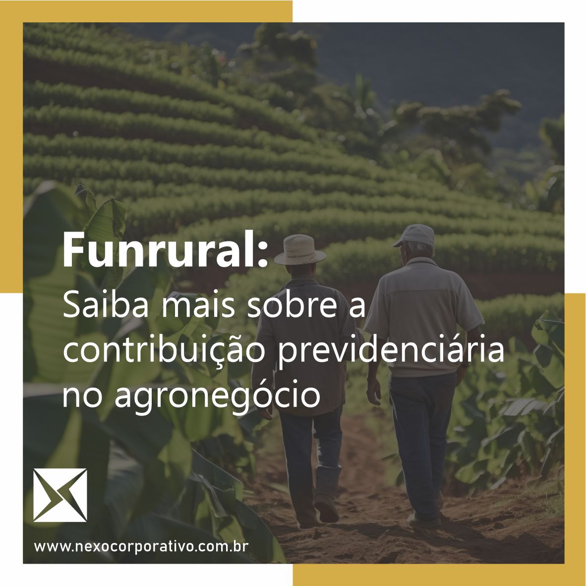 Funrural: Saiba mais sobre a contribuição previdenciária no agronegócio ...